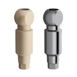 Scan Body | C-Tech Implant | Mini dental implants and conical ...